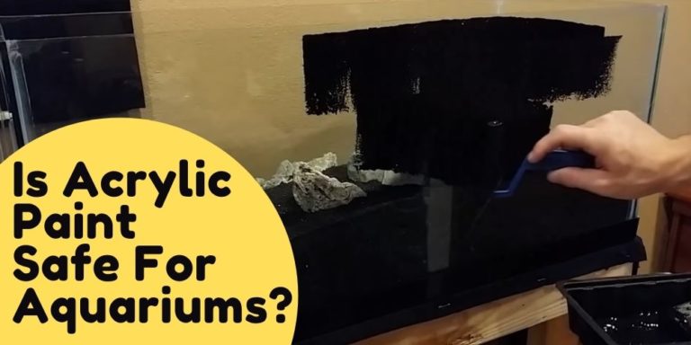 Is Acrylic Paint Safe For Aquariums? An Easy No-Fluff Answer